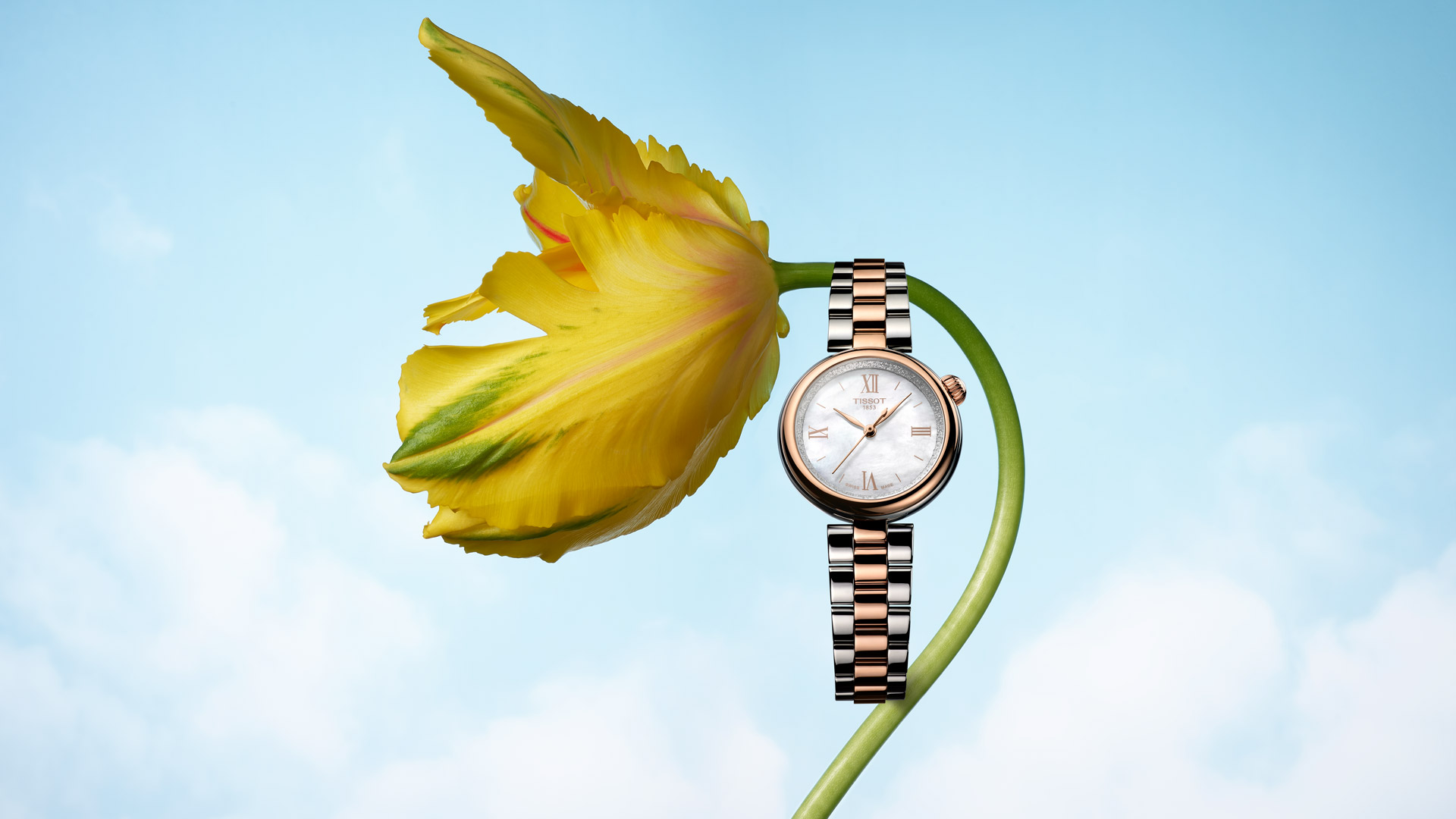 Tissot PRX Powermatic 80 Gradient 40mm | Model T1374071135101 | Tissot ...